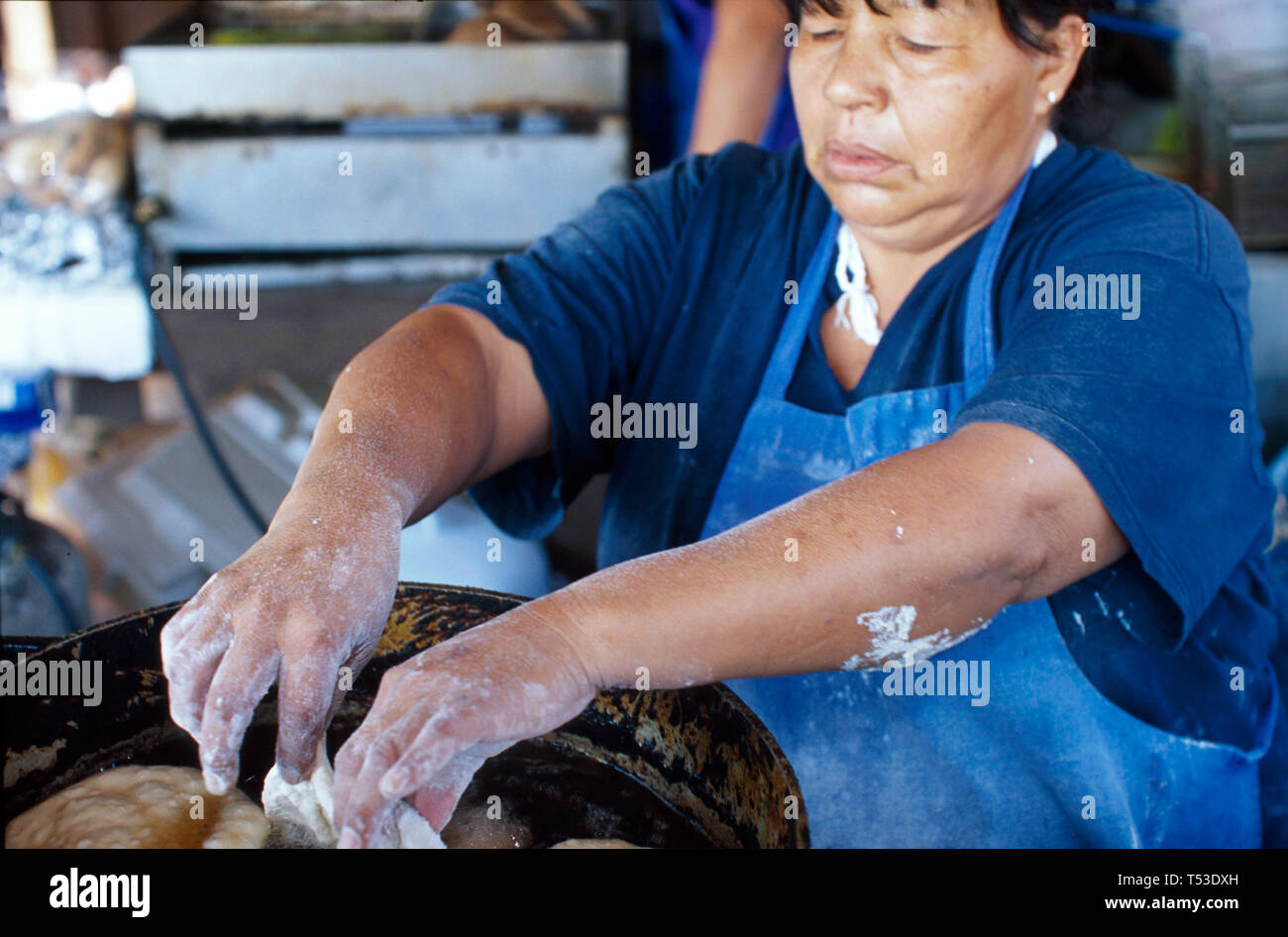 Florida Everglades Miccosukee Seminole Indian Reservation,Native ...