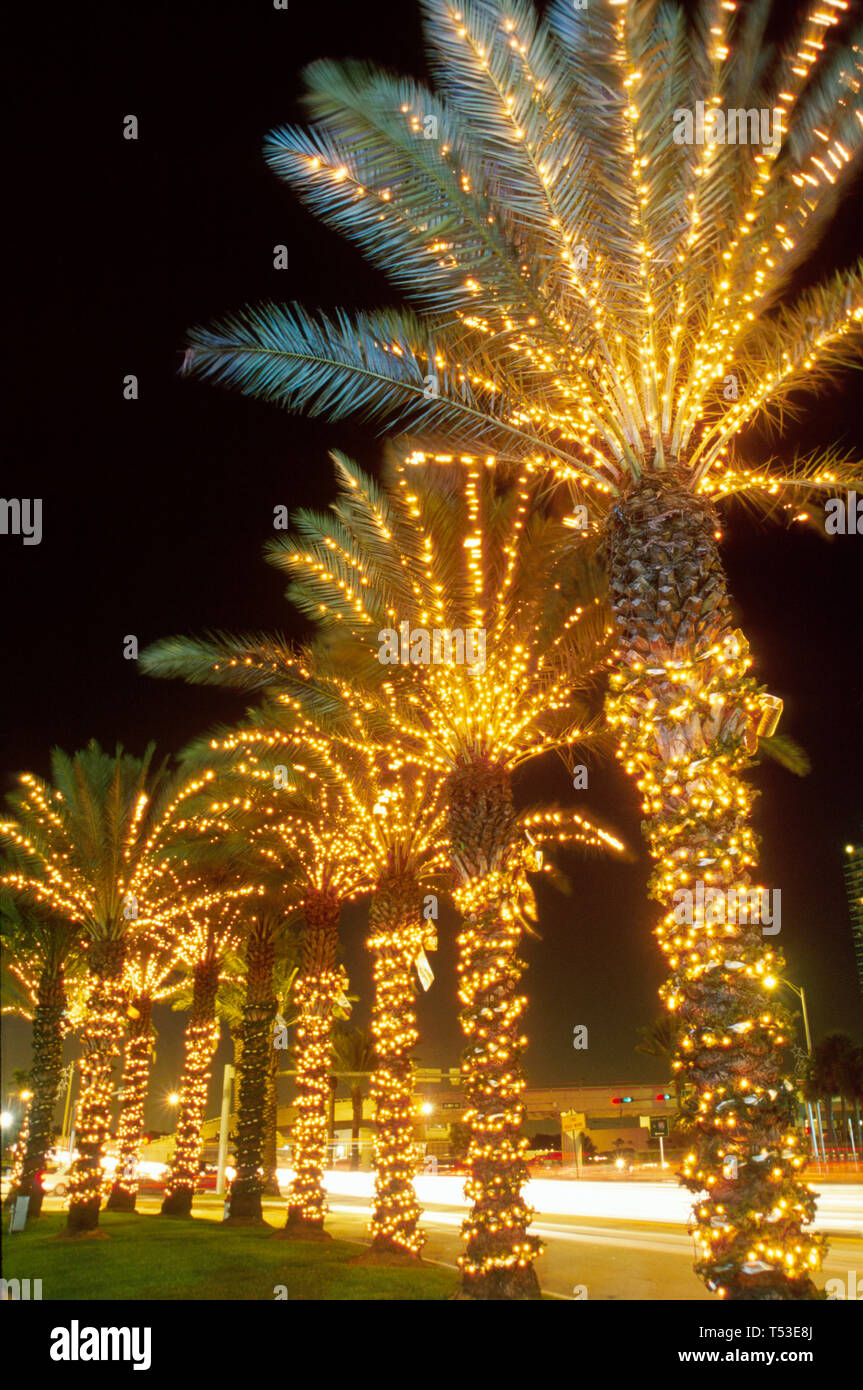 Christmas tree with palm trees on the beach hi-res stock photography ...