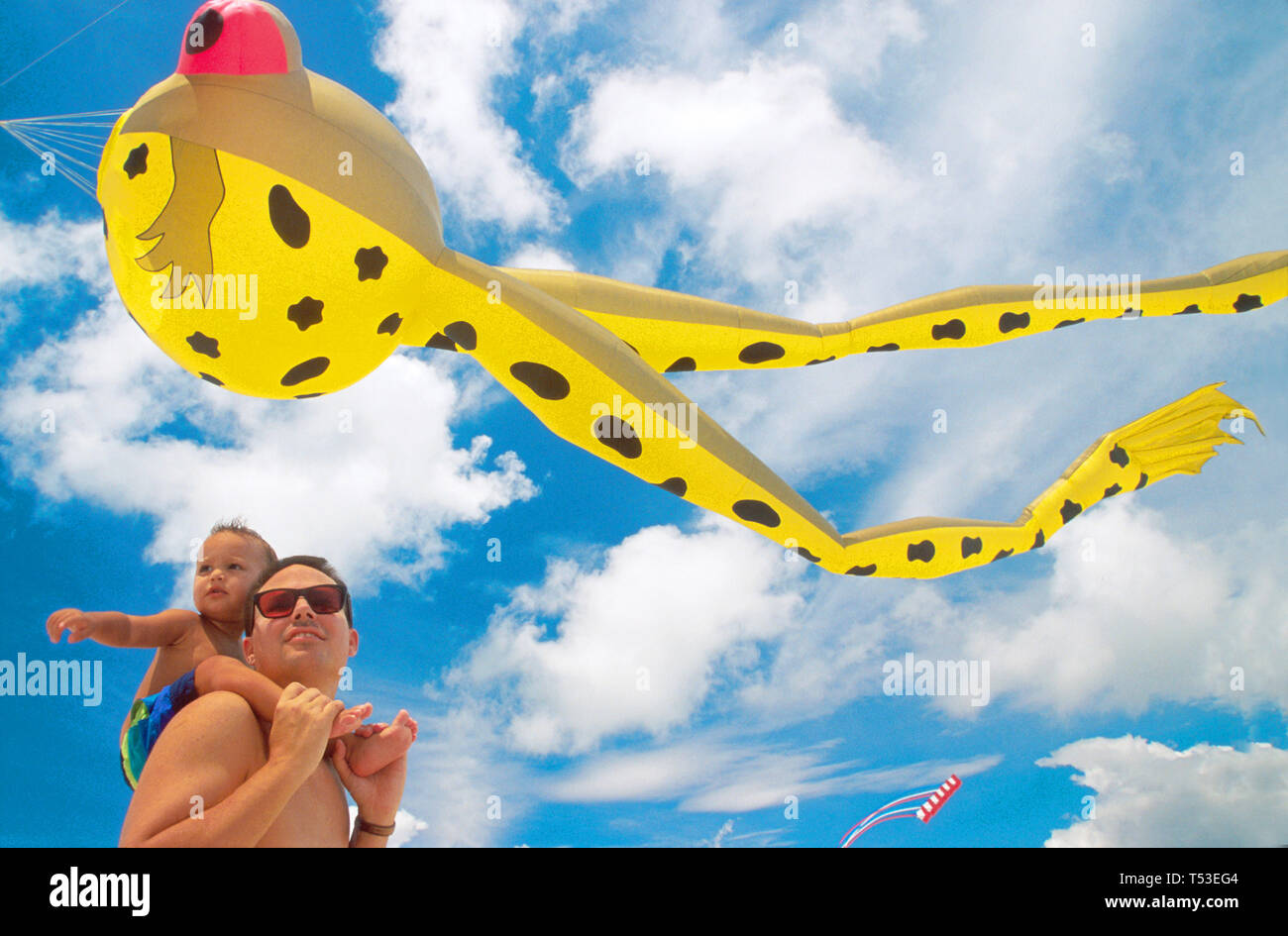 Atlantic ocean international kite festival frog windsock dad son hi-res ...