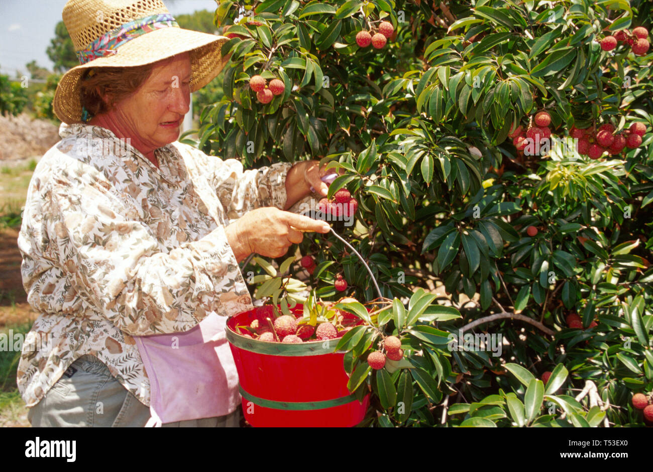 Seller booth hi-res stock photography and images - Alamy