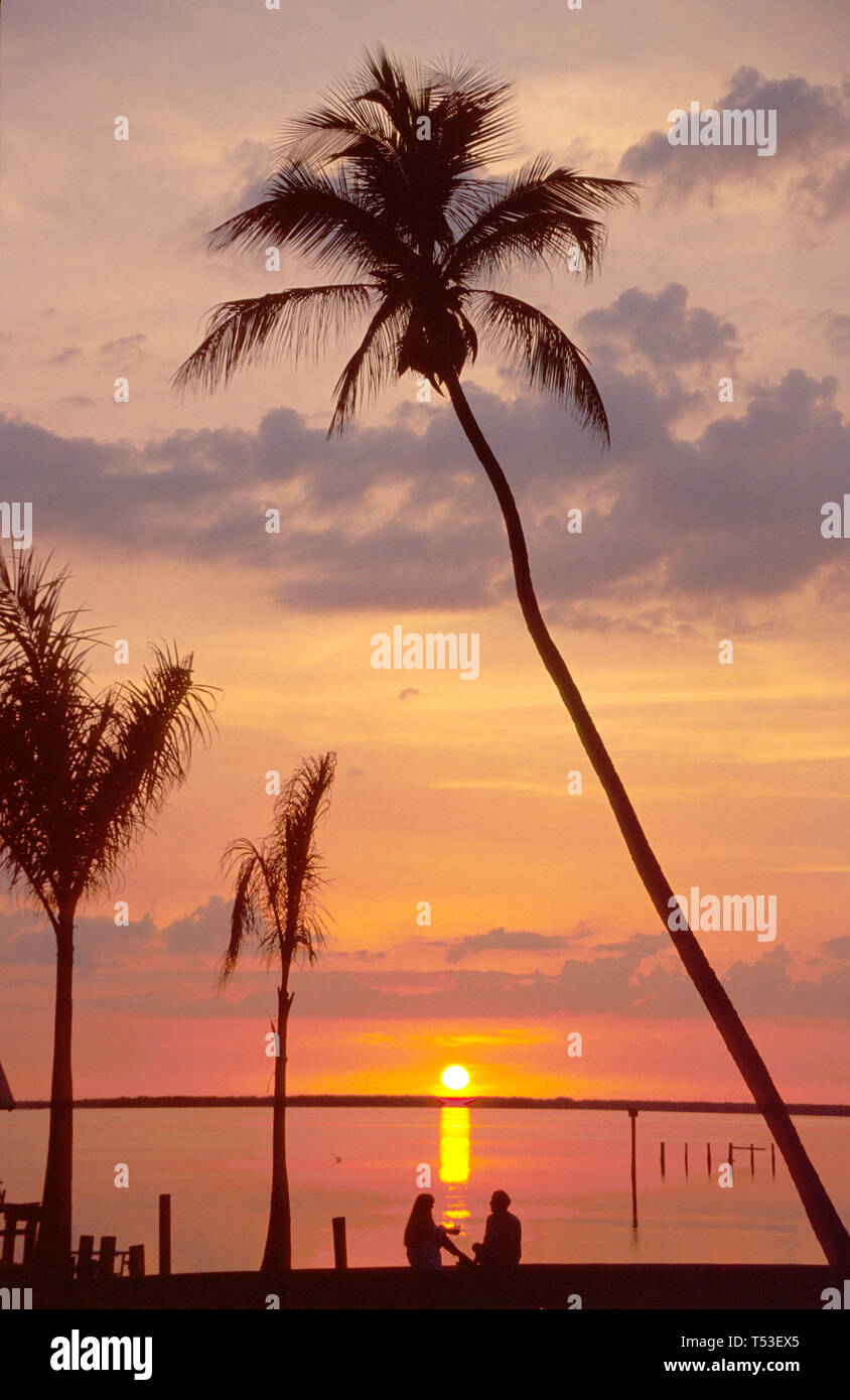 Florida Gulf Coast Lee County Pine Island Tarpon Lodge,sunset,nature ...