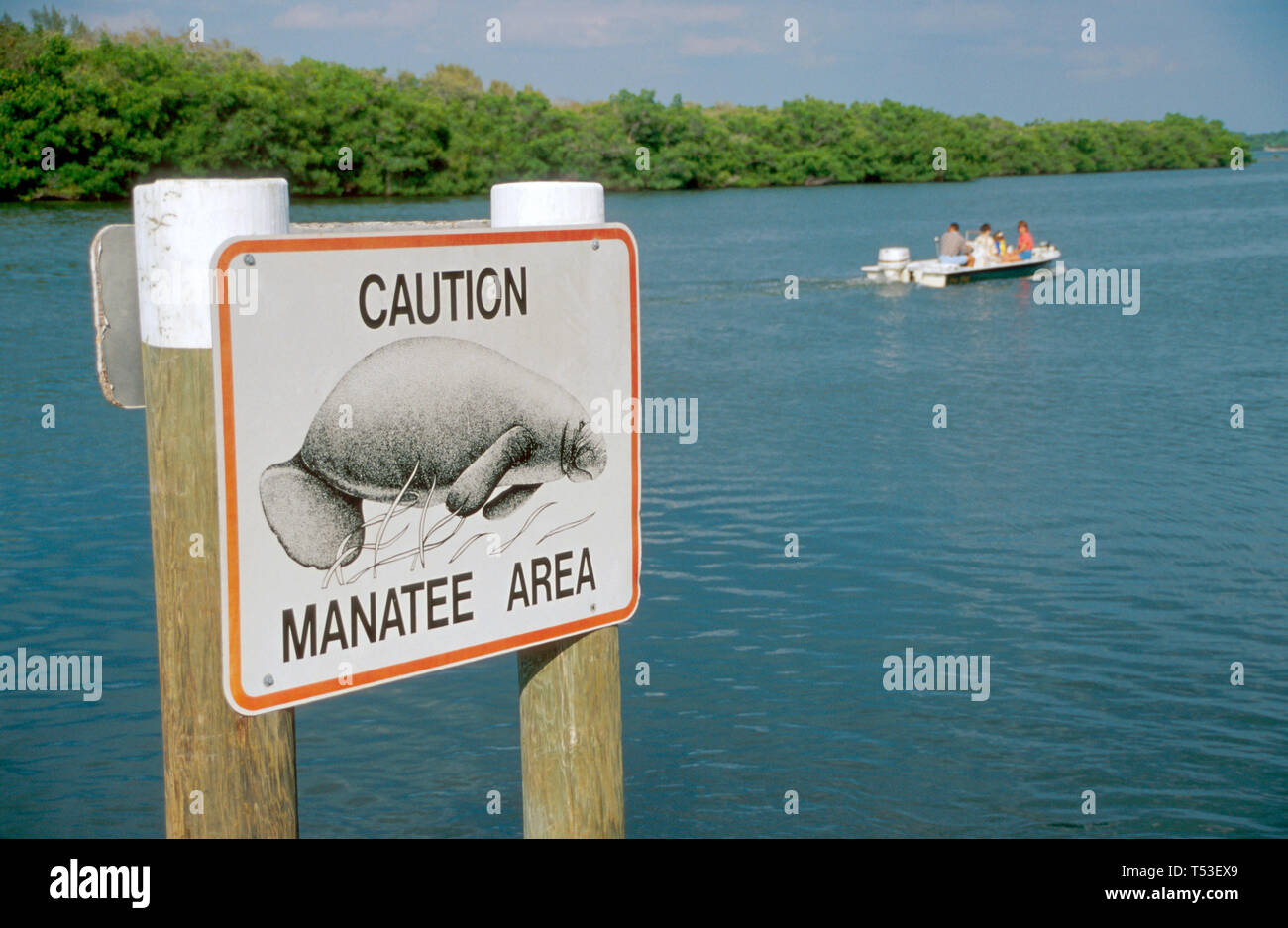 Printable Florida Everglades Manatee Ictures