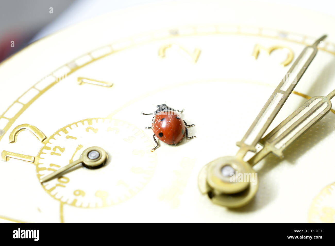 Ladybug on an old clock surface., time concept Stock Photo - Alamy