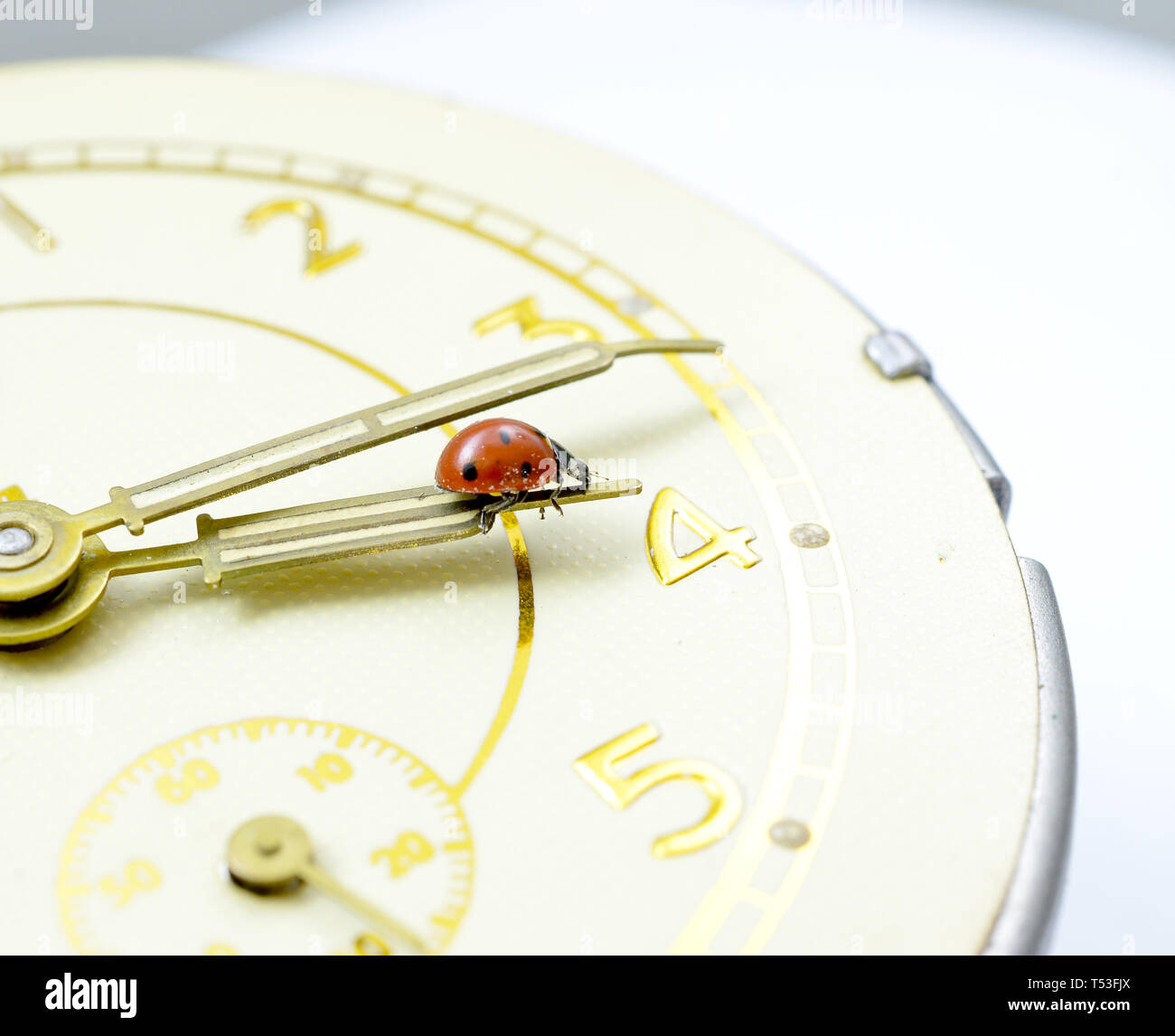 Ladybug on an old clock surface., time concept Stock Photo - Alamy