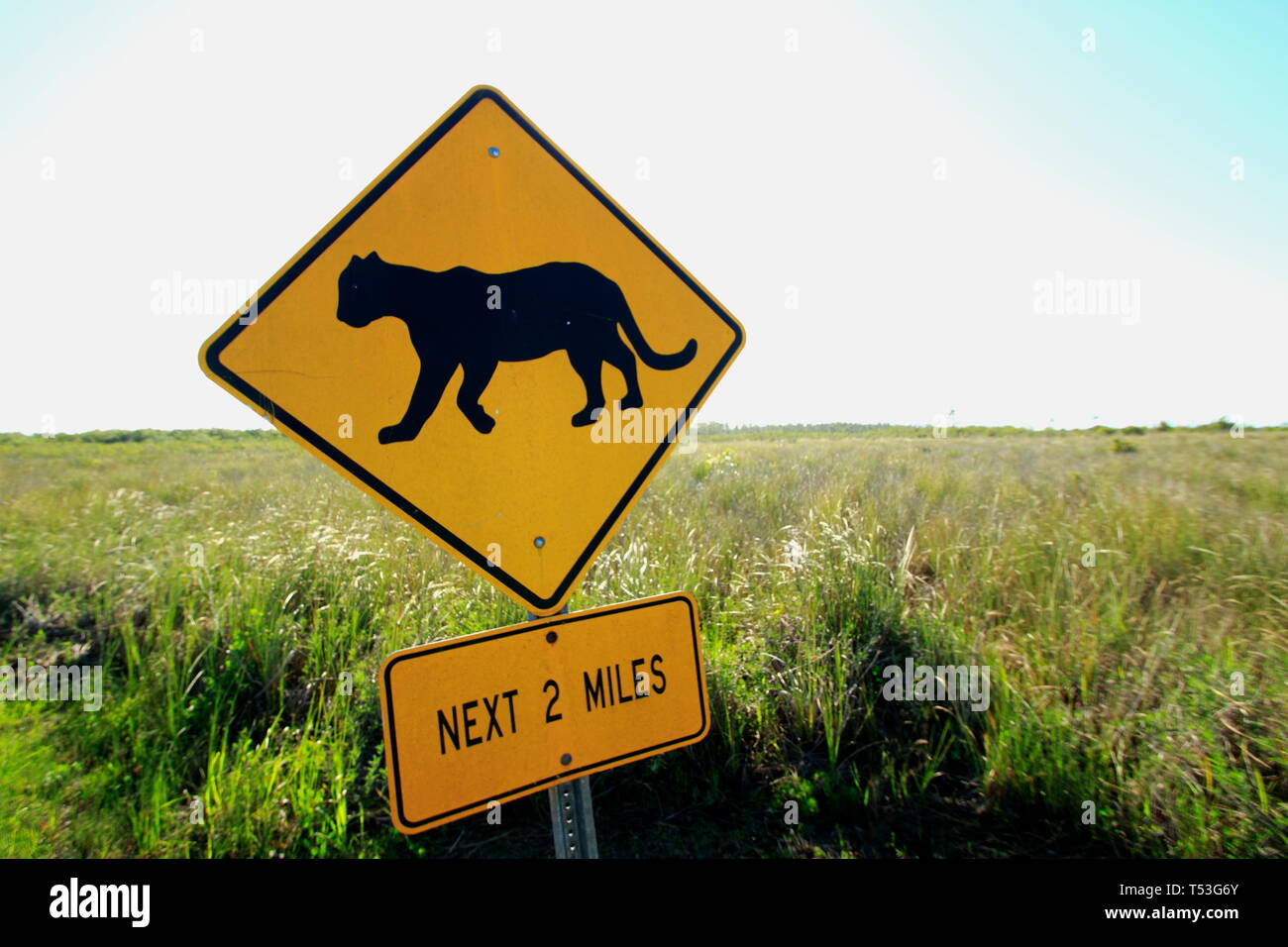 florida panther sign at everglades np Stock Photo - Alamy