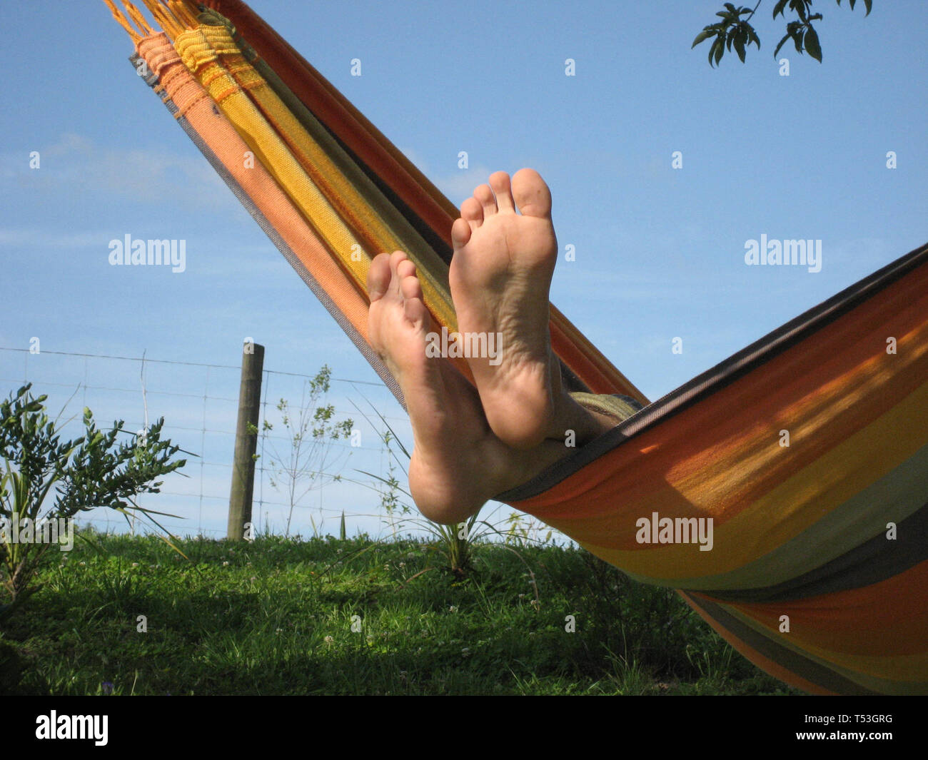 Hammock garden feet hi-res stock photography and images - Alamy