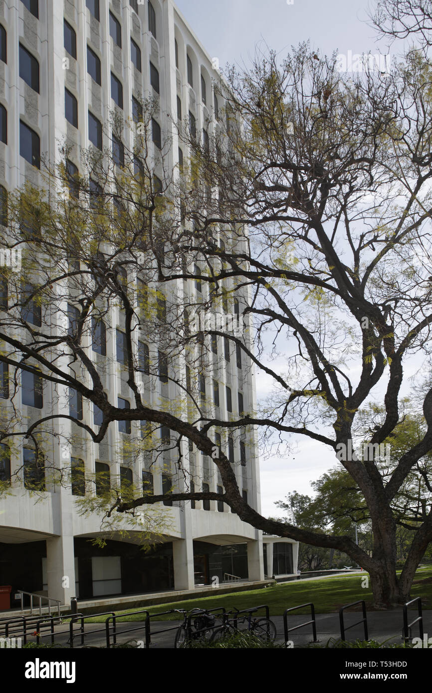 Caltech campus series, Millikan Library Stock Photo - Alamy