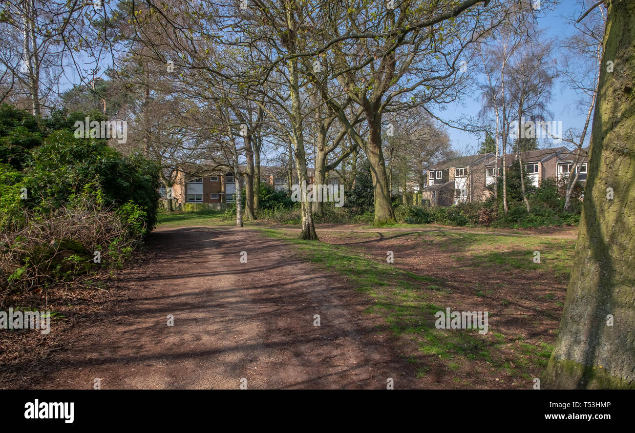 South Lake - Woodley In Berkshire Stock Photo - Alamy