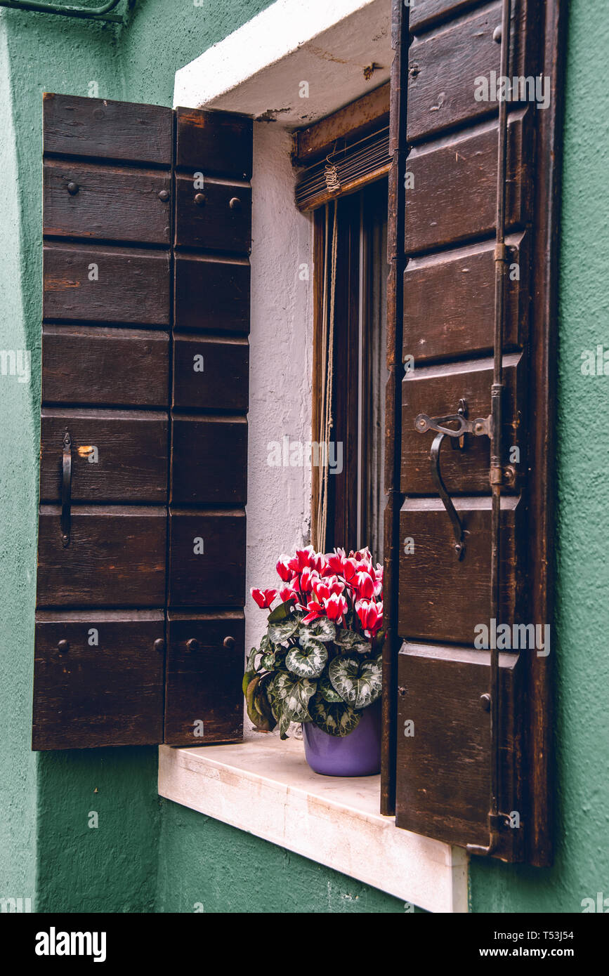 Red flowers in a window ledge in Murano, Italy Stock Photo - Alamy