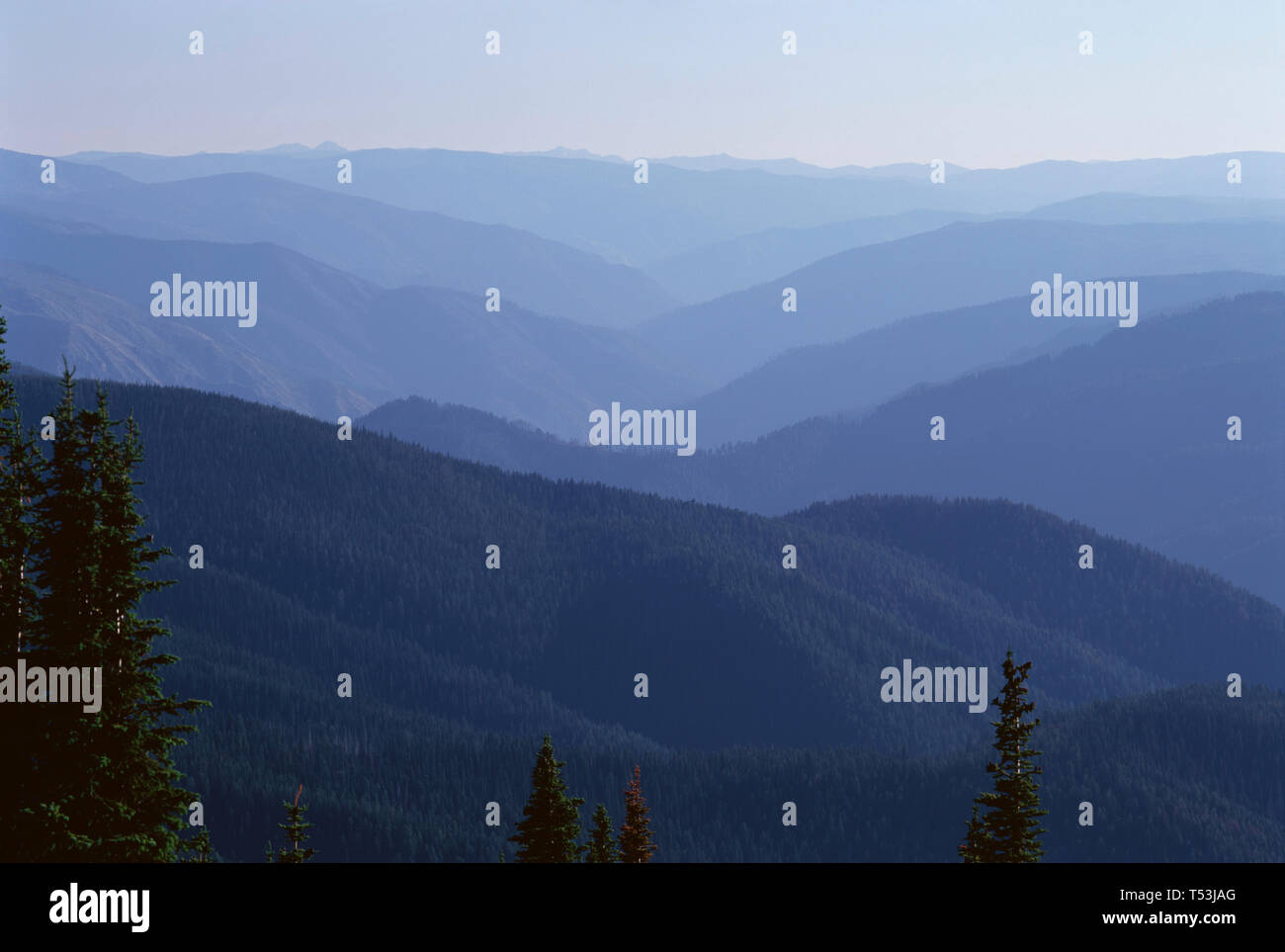 USA, Idaho, Nezperce National Forest, Layered ridges and conifer forest ...