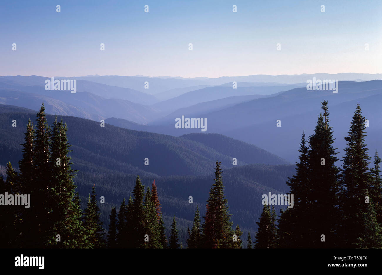 USA, Idaho, Nezperce National Forest, Layered ridges and conifer forest ...
