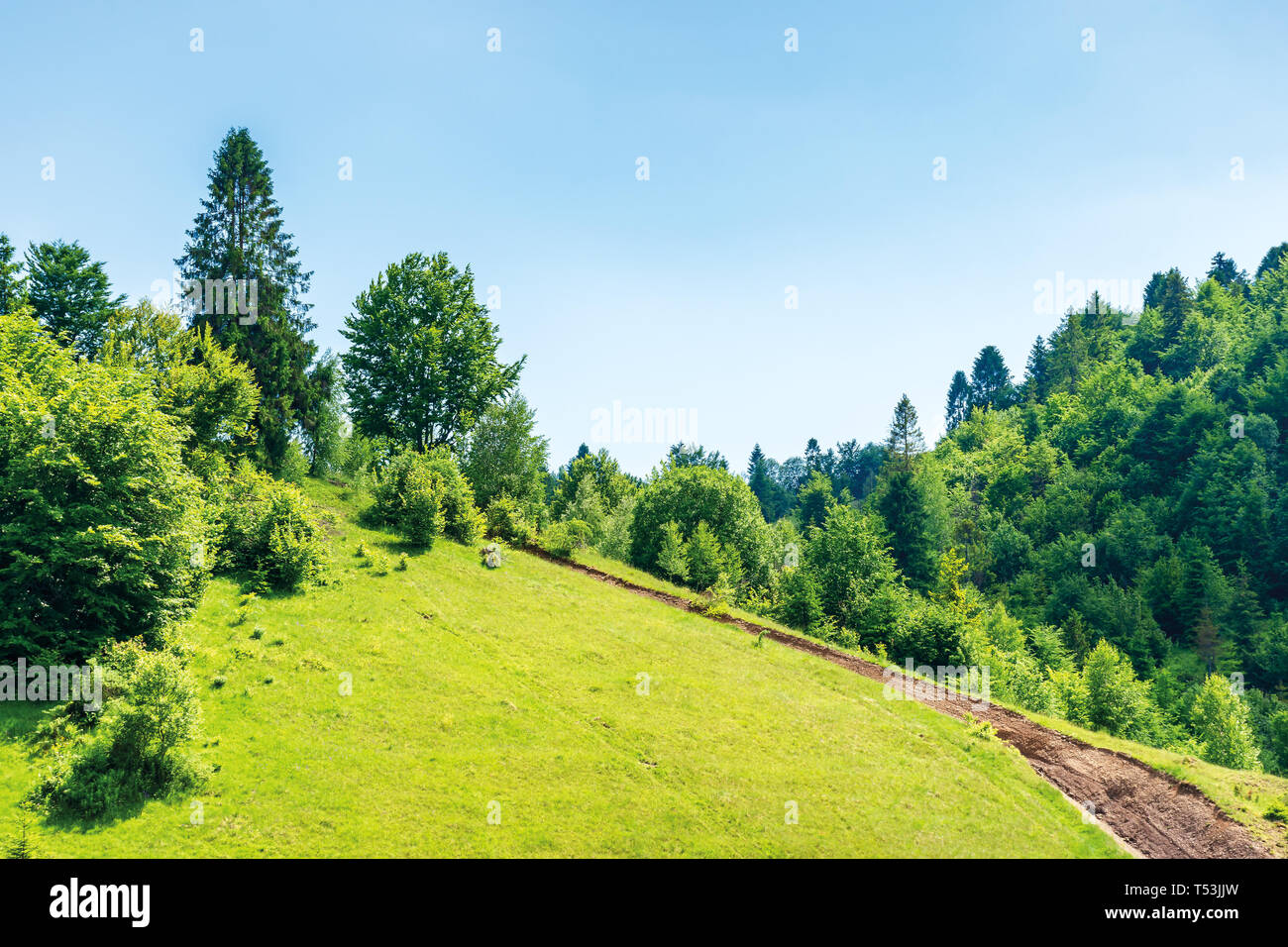 path uphill in to the mountains. summer countryside landscape. grassy ...