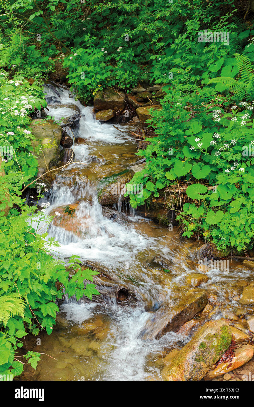 Summer winds hi-res stock photography and images - Alamy