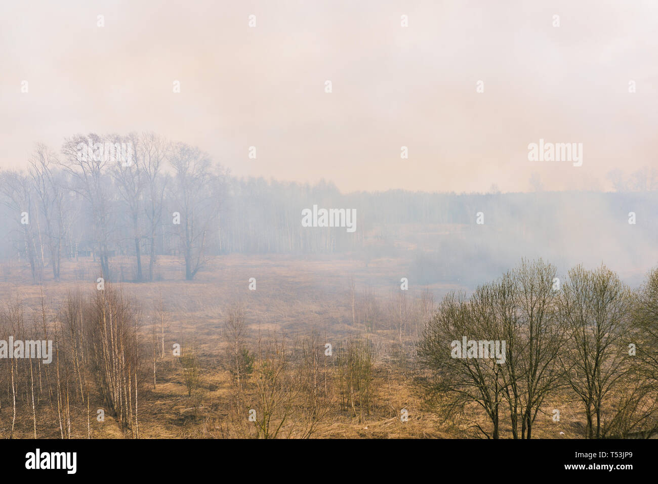 Smoke from the fire in the forest. Smoke forests. The beginning of a ...