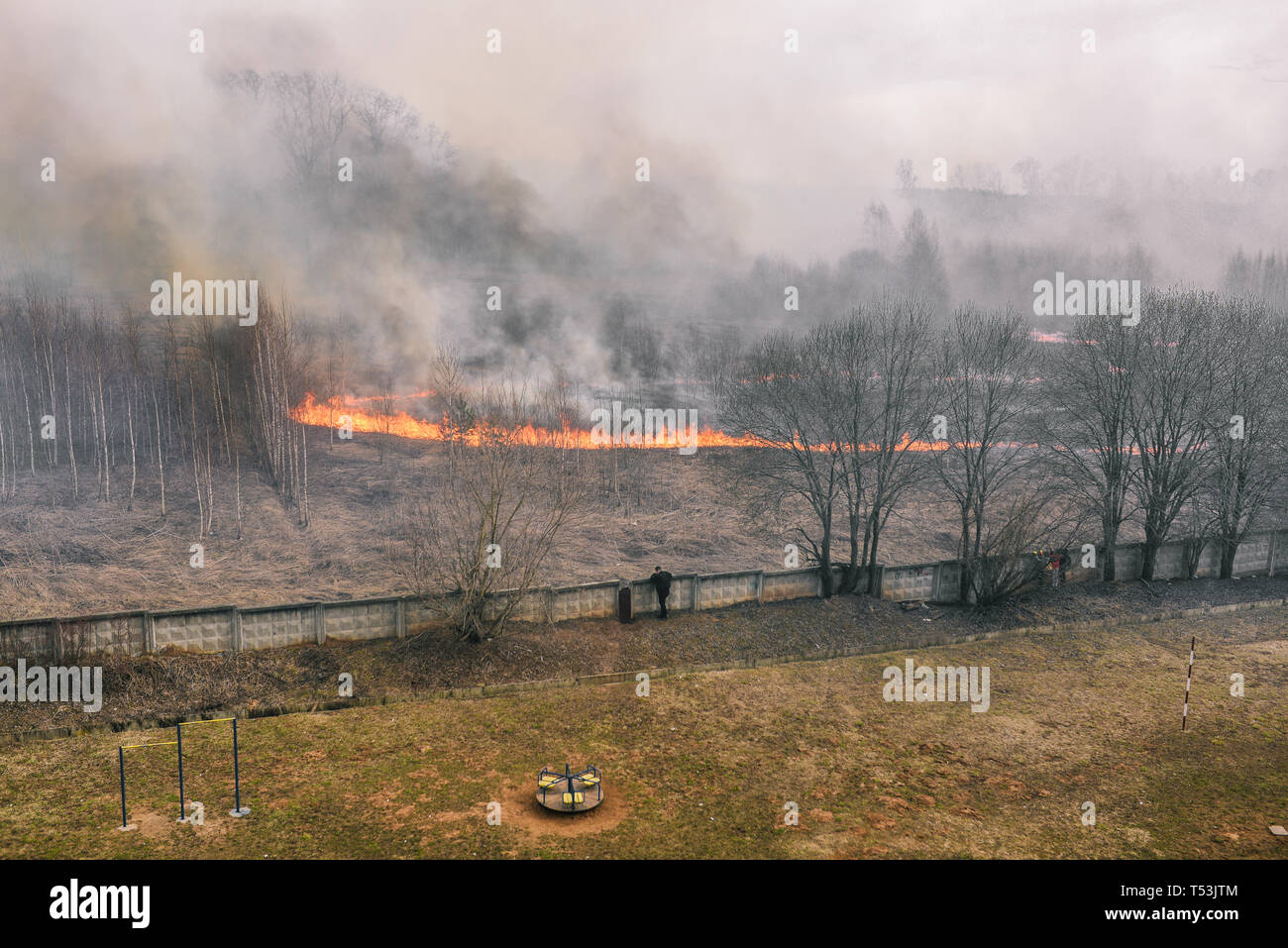 Forest fire near residential buildings. People are at risk from fire ...