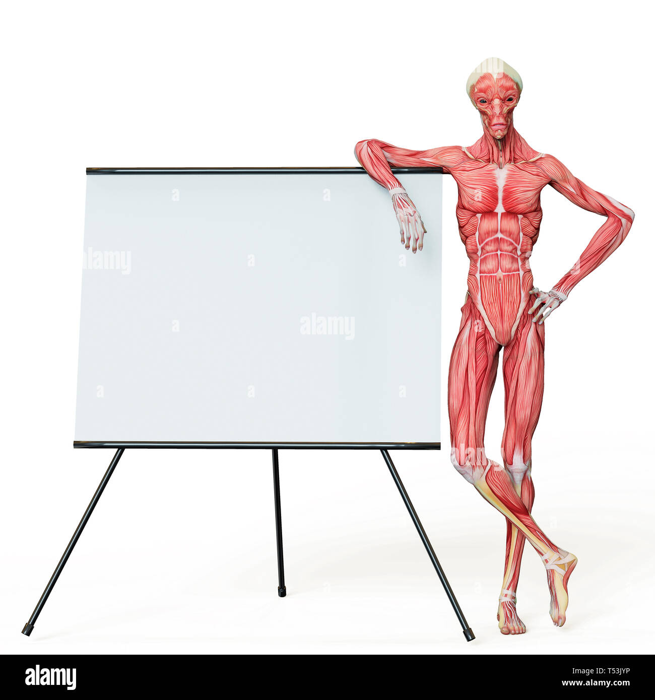 alien muscle maps on white background will put some live in yours ...