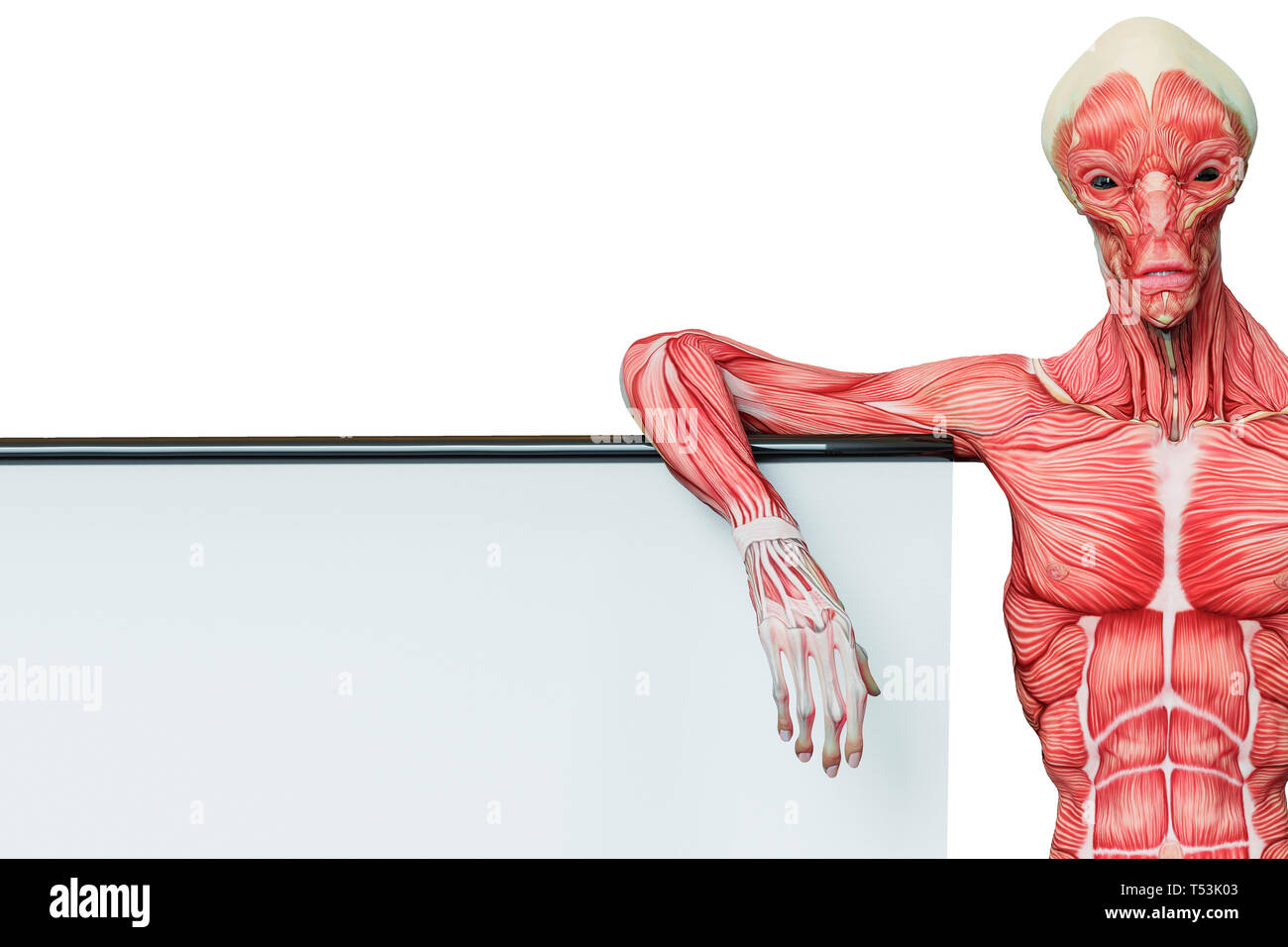 alien muscle maps on white background will put some live in yours ...
