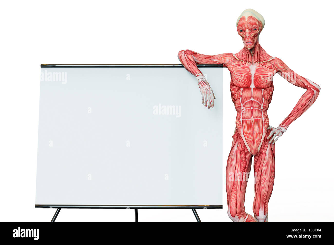 alien muscle maps on white background will put some live in yours ...