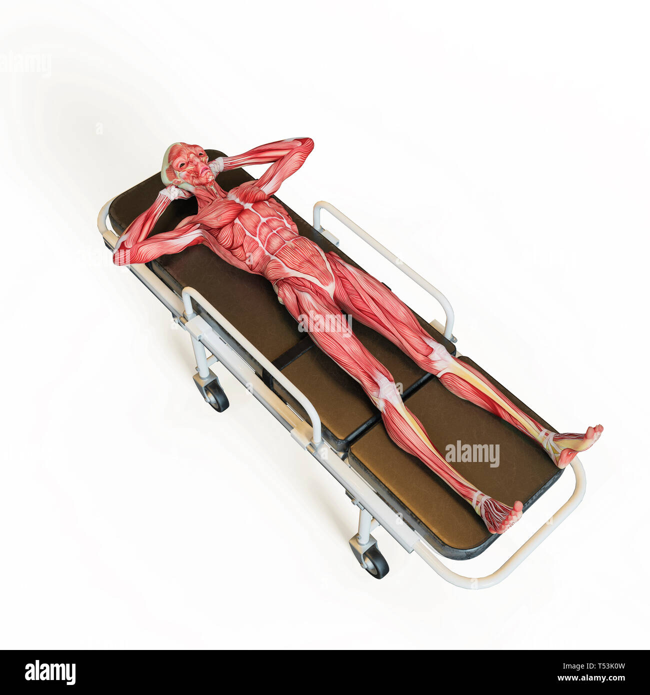 alien muscle maps on white background will put some live in yours ...