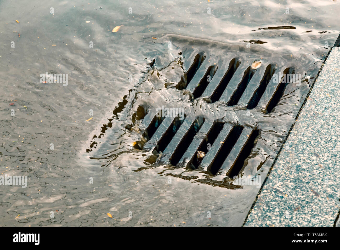 Stormwater street drain during heavy rain. Rain flowing into a storm ...