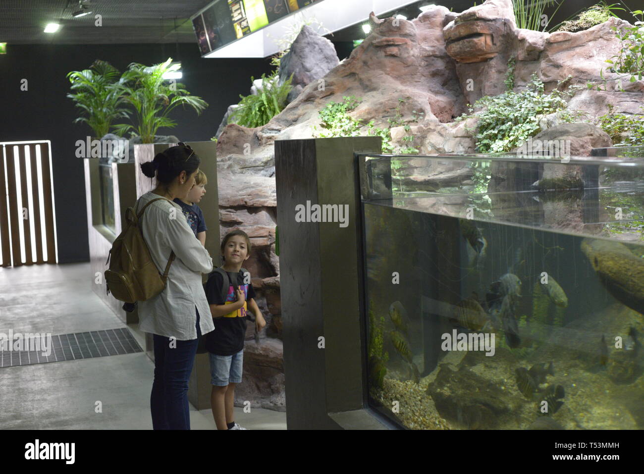 mother with 2 children at the Fluviario de Mora (river aquarium) in ...
