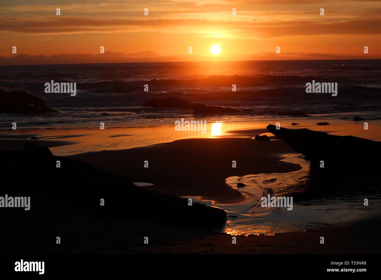 Golden sunset on the beach Stock Photo - Alamy