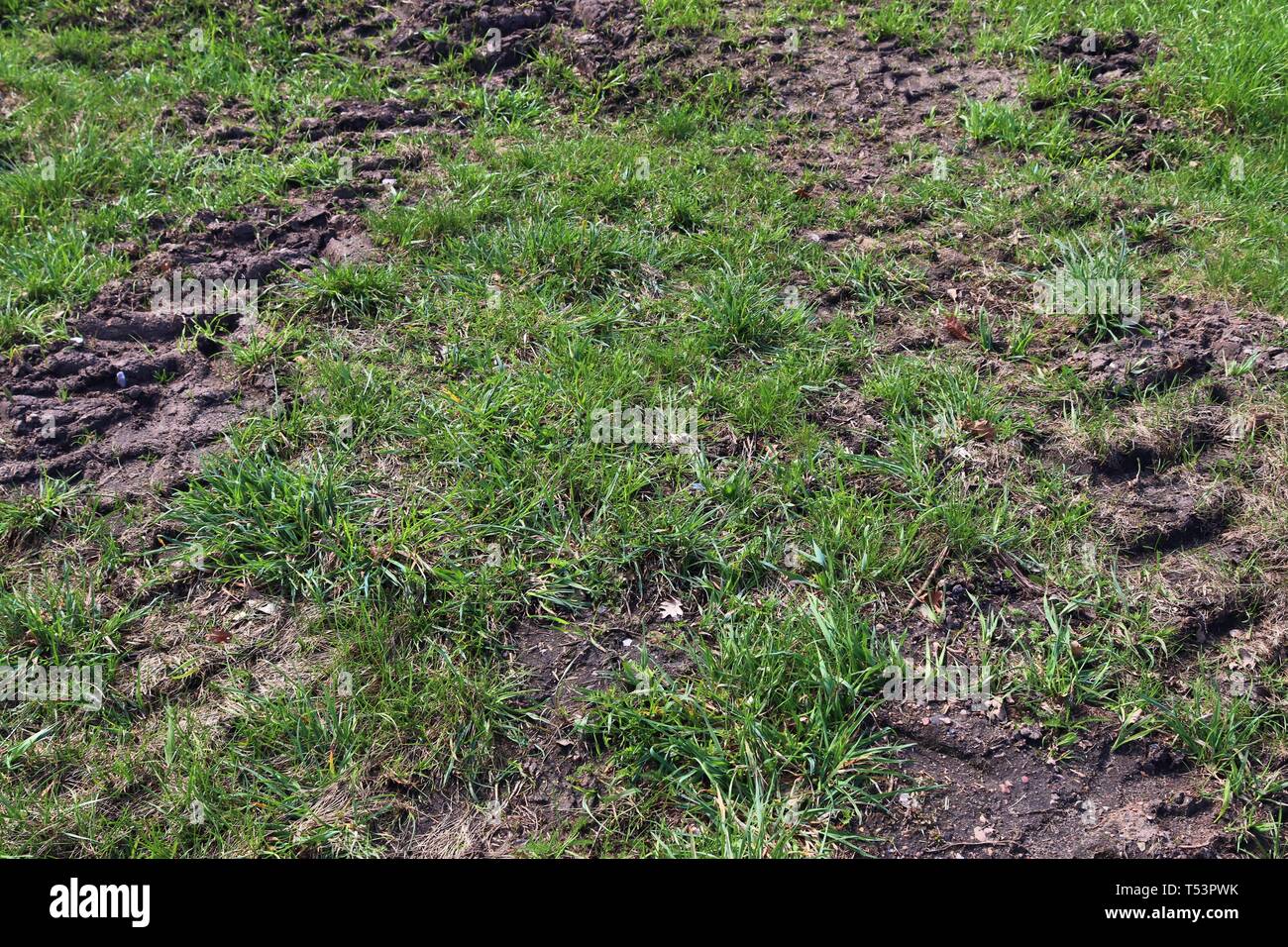 Close up of an griculture ground surface with high details Stock Photo ...