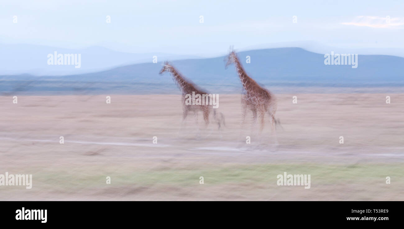 Ghost slow shutter speed hi-res stock photography and images - Alamy