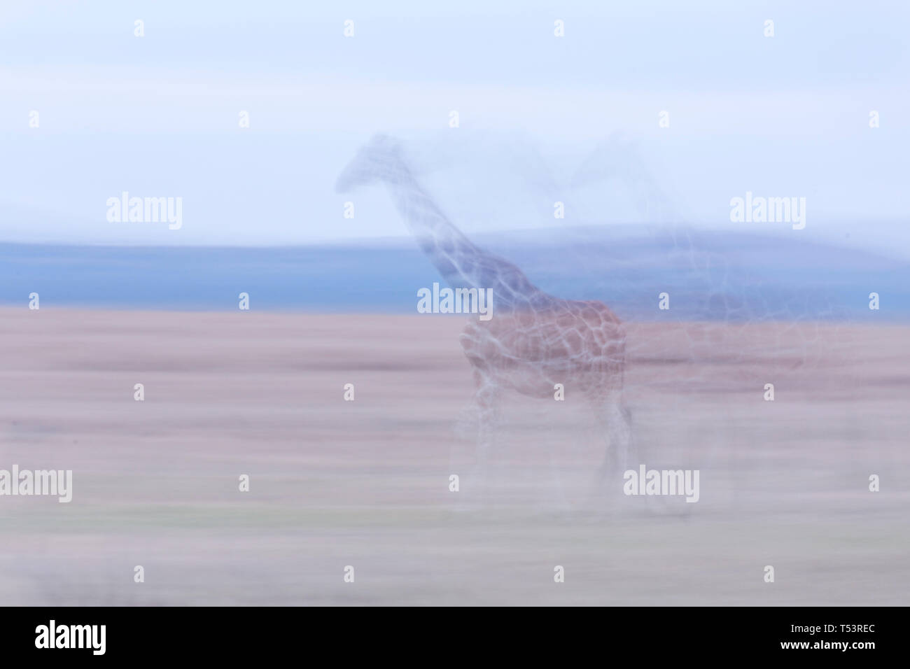 Ghost slow shutter speed hi-res stock photography and images - Alamy