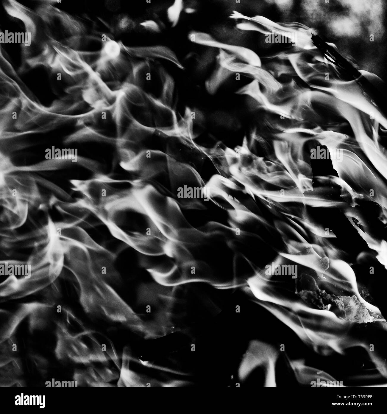 inferno flame fire on black background close up.black and white image ...