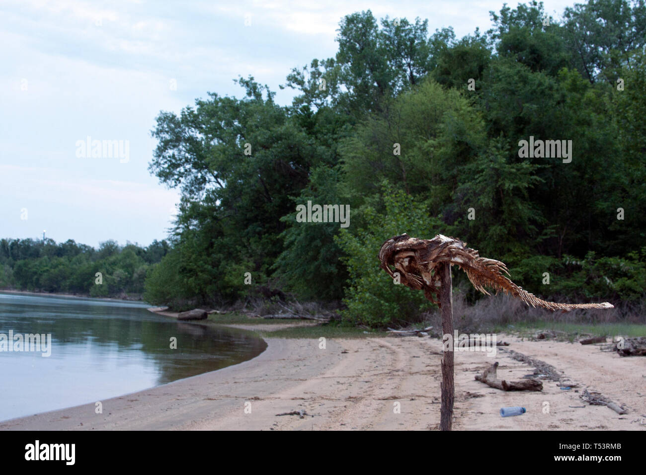 Warning Skeleton on Beach Stock Photo - Alamy