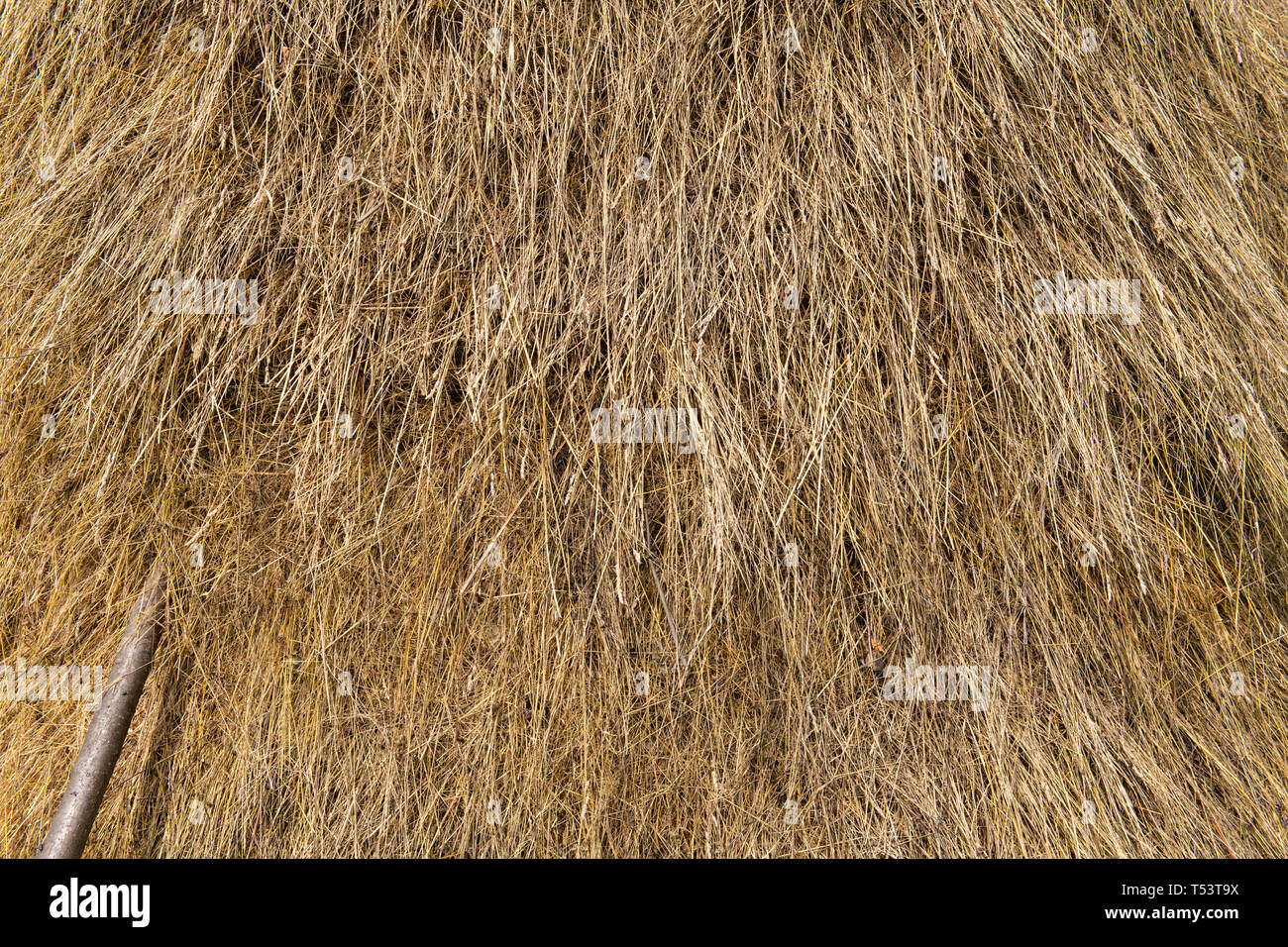 Hay pole hi-res stock photography and images - Alamy