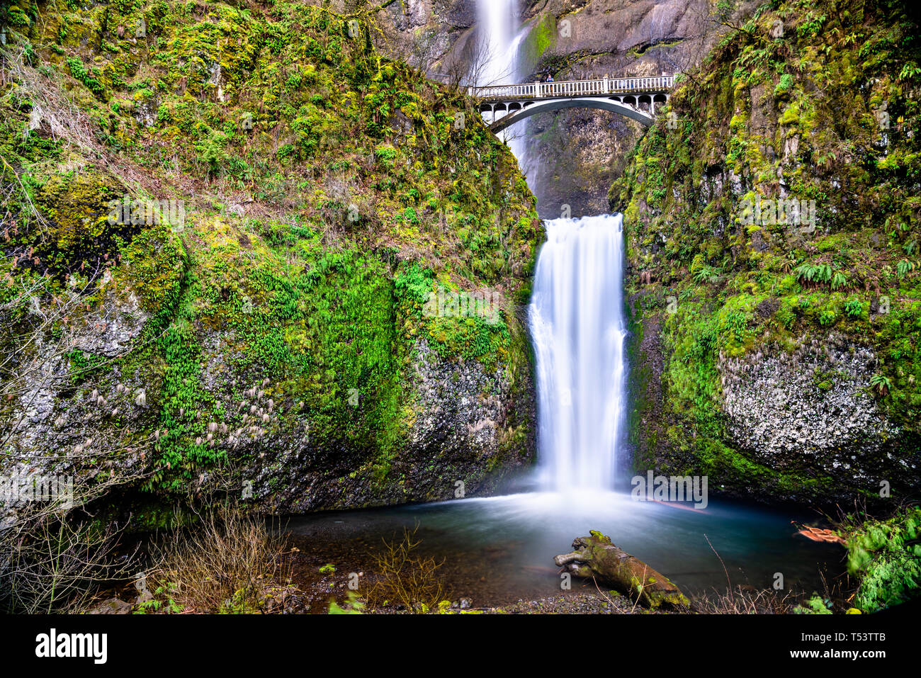 Multnomah Falls in the Columbia River Gorge, USA Stock Photo - Alamy