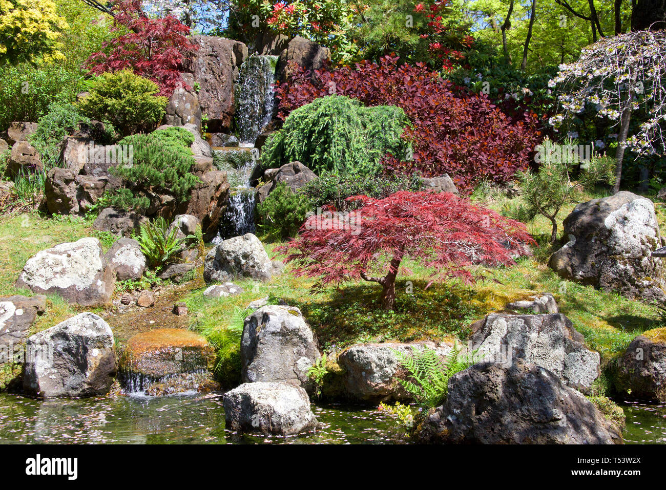 Japanese garden with waterfall, beautiful relaxing scene Stock Photo ...