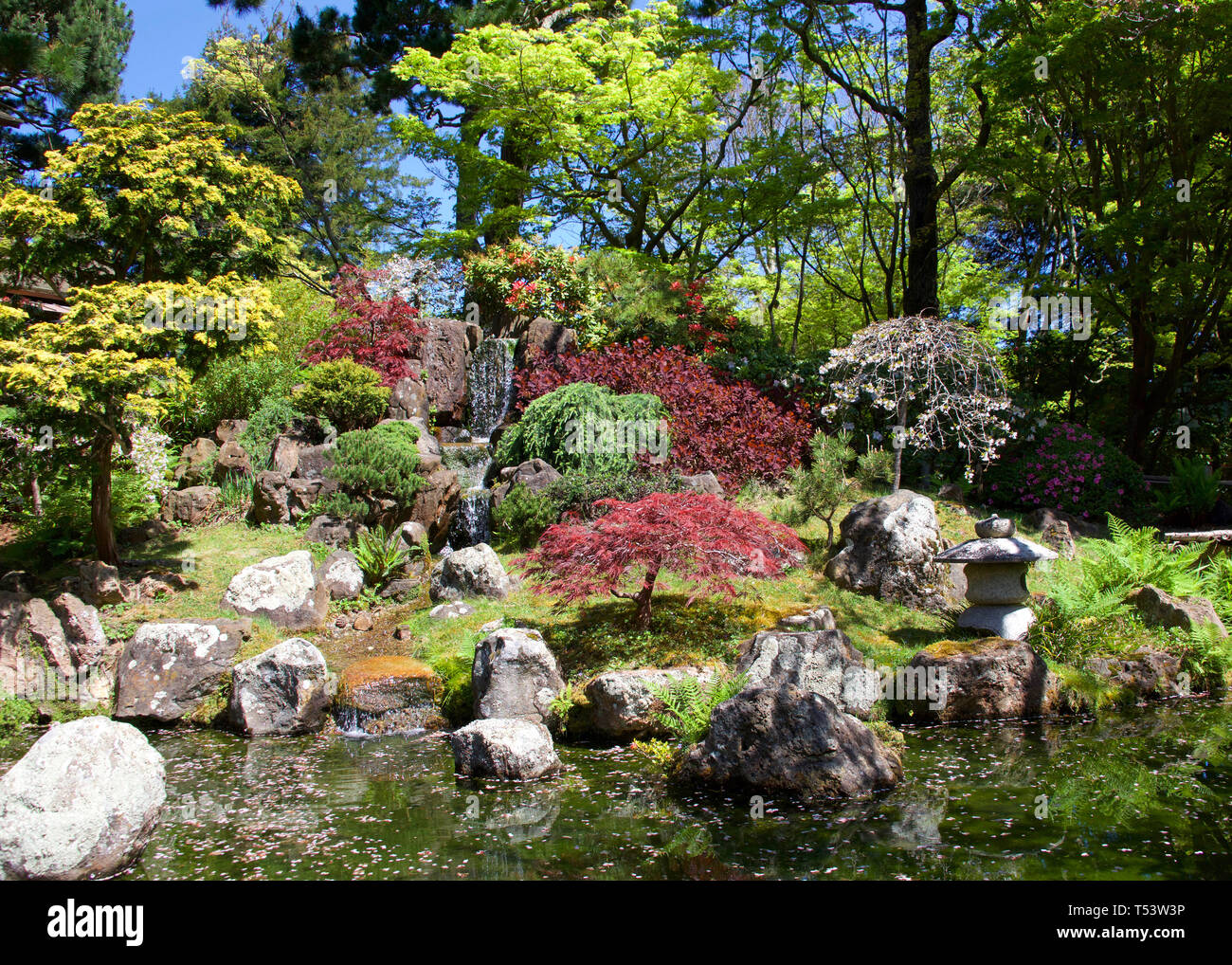 Japanese garden with waterfall, beautiful relaxing scene Stock Photo ...
