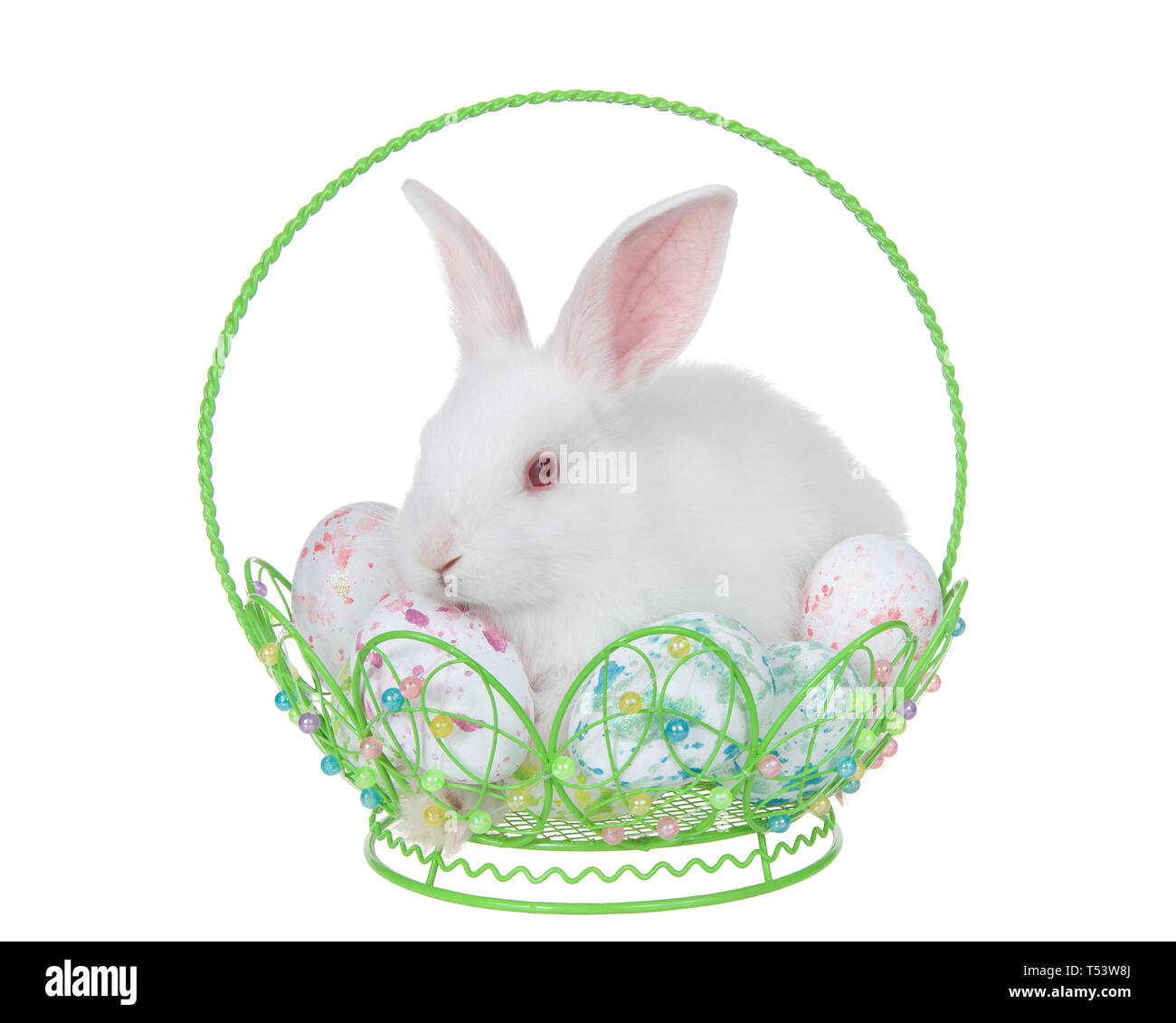 Fluffy die hi-res stock photography and images - Alamy