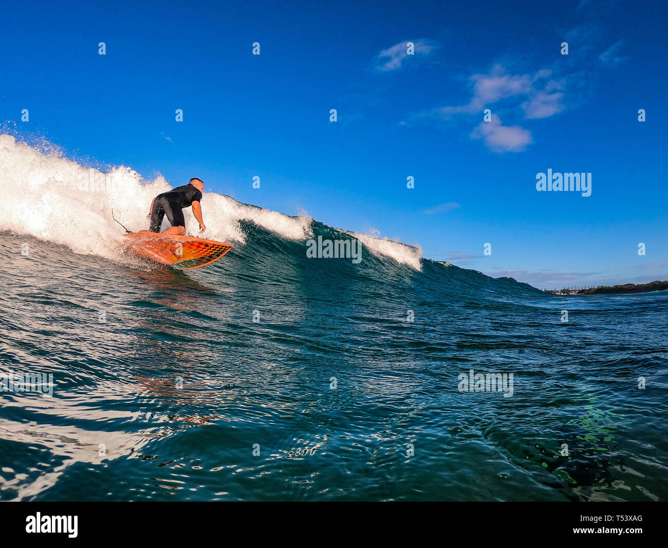 surfer riding a wave Stock Photo - Alamy