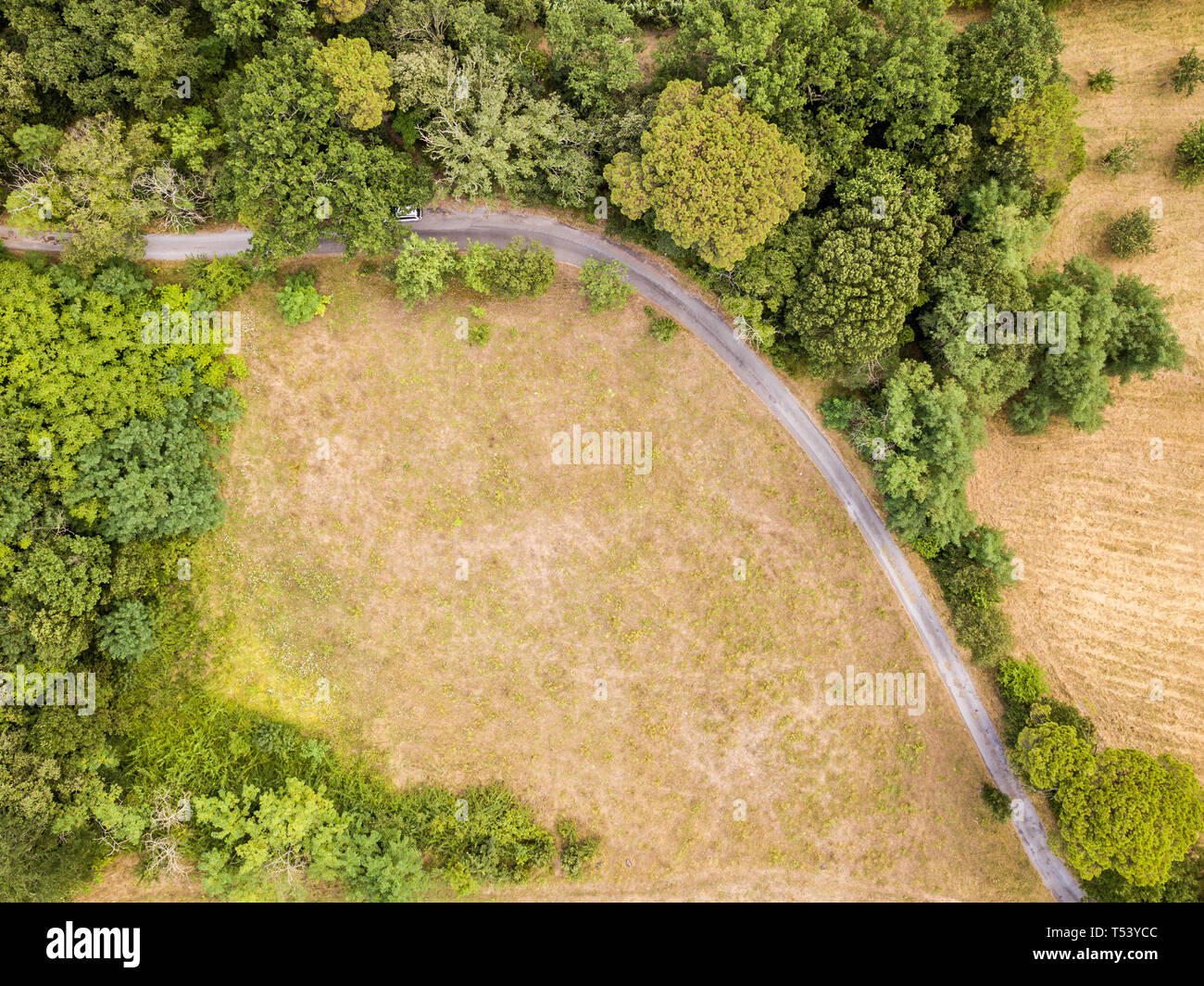 Meadows edge hi-res stock photography and images - Alamy