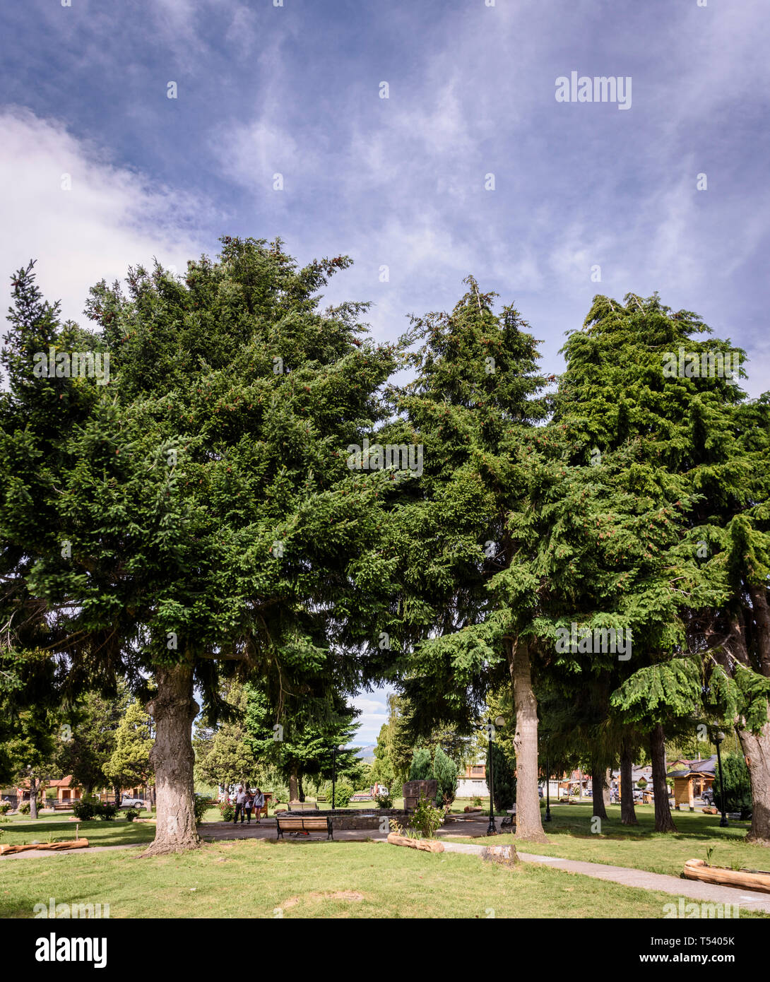 Palena patagonia hi-res stock photography and images - Alamy