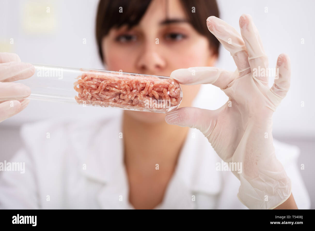 Young Female Scientist Hands Holding Raw Meat In Laboratory Test Tube ...