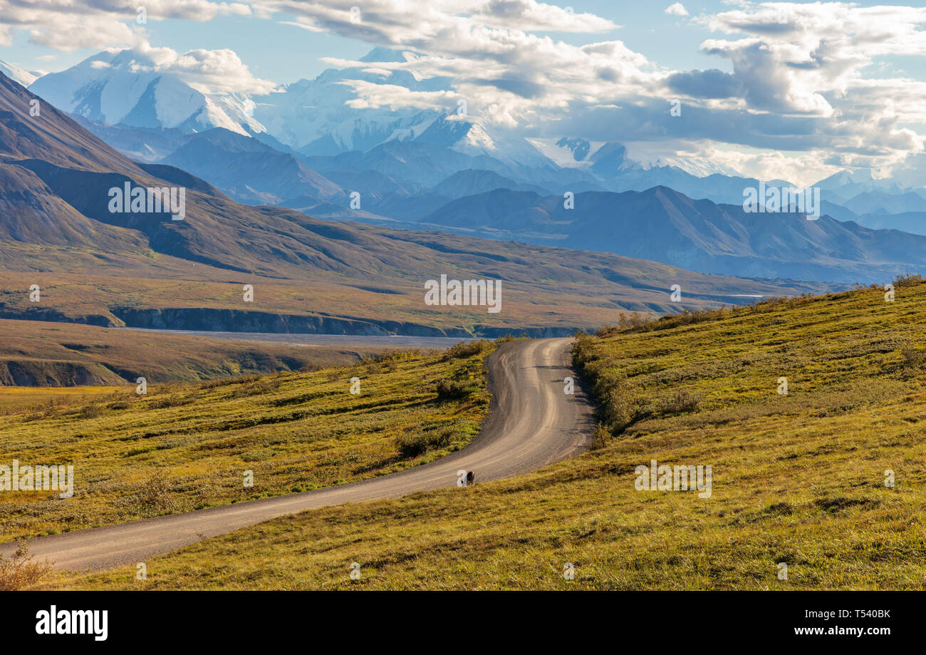Denali National Park Alaska Landscape in Autumn Stock Photo - Alamy