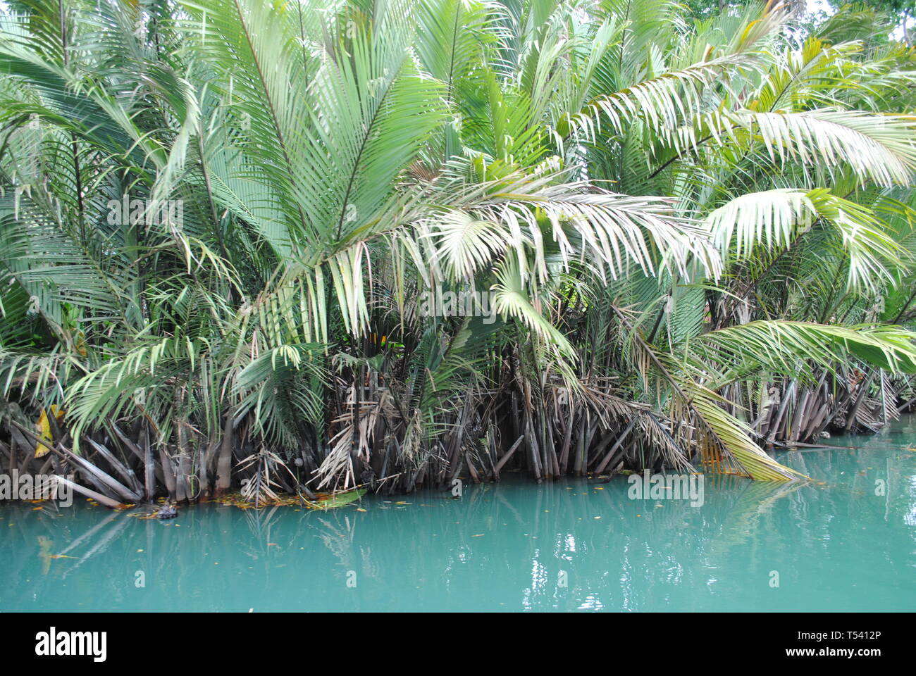 Riverside, Bohol, Philippines Stock Photo - Alamy
