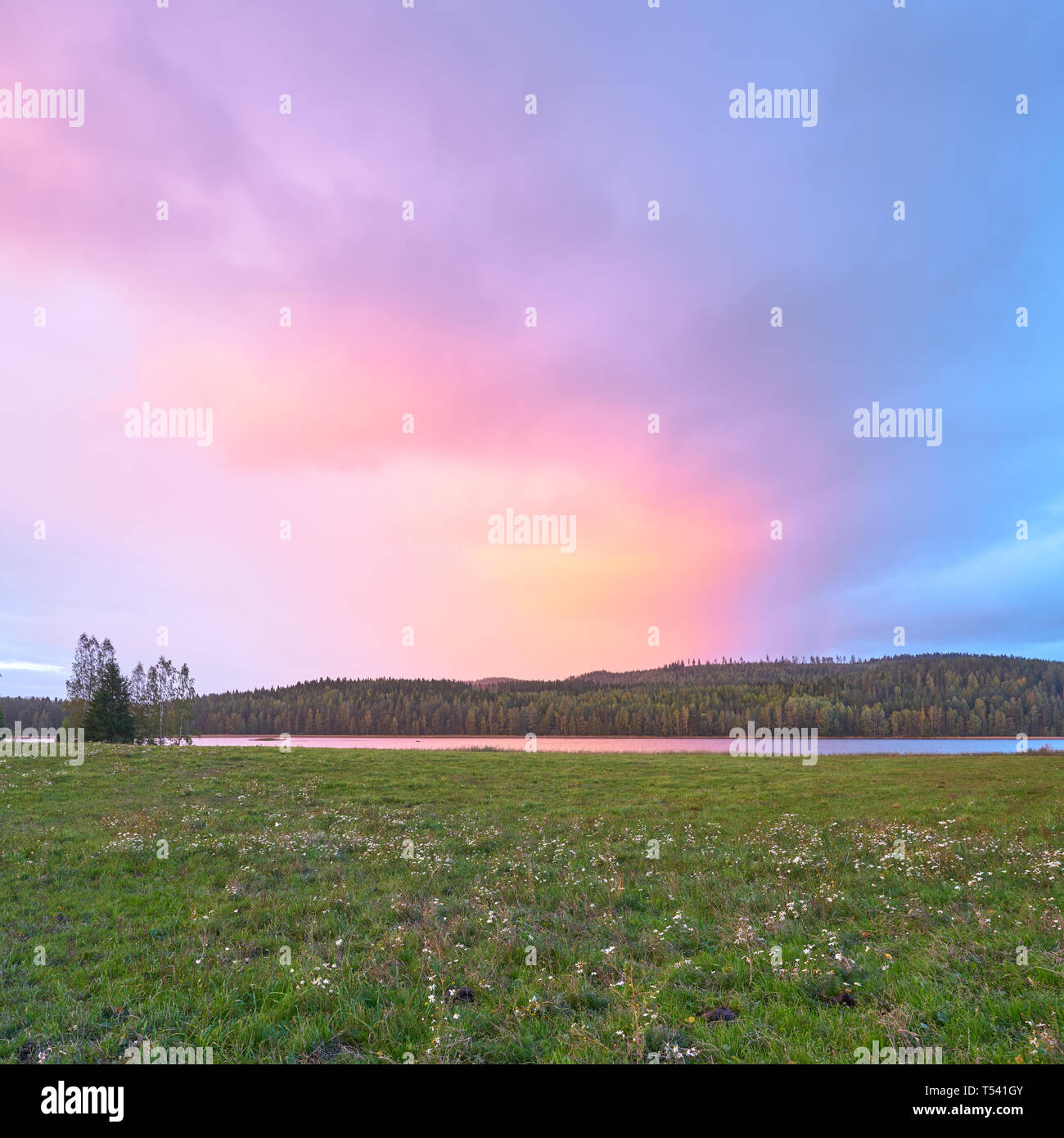 Purple Dusk in the countryside Stock Photo - Alamy