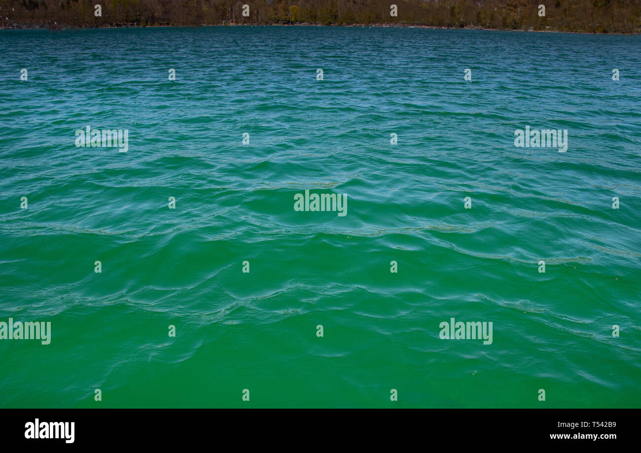 green water background texture at the lake Stock Photo - Alamy