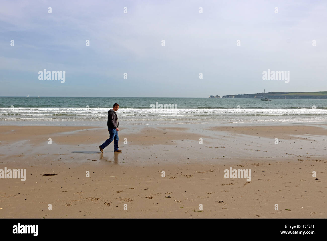 The sandy beach at Studland Nature Reserve, Dorset, England UK Stock ...