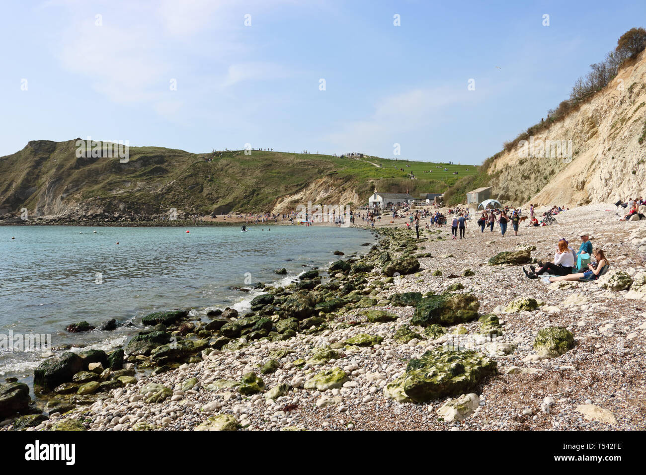 Lulworth cove bay on hi-res stock photography and images - Alamy