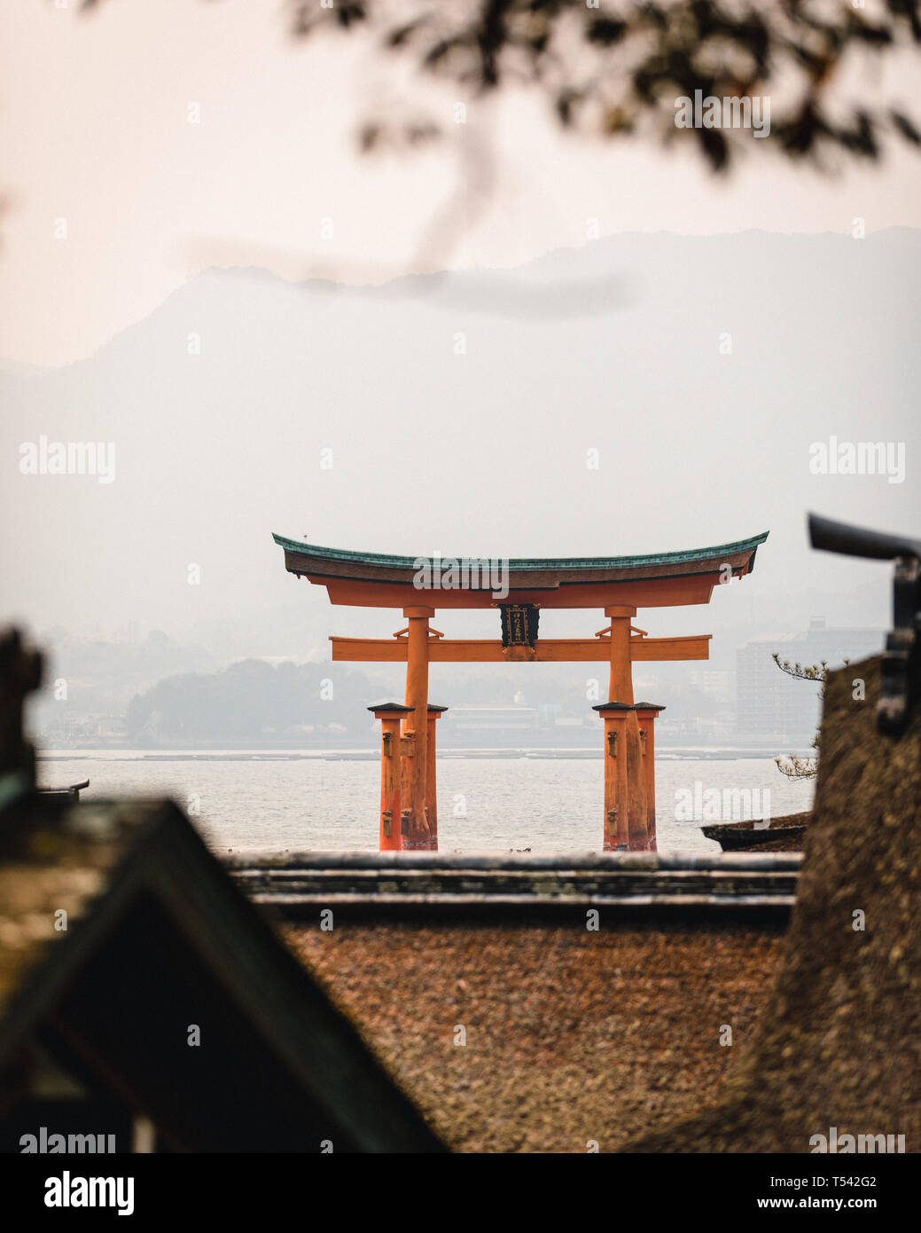 The floating Itsukushima Shrine at Miyajima Island, Japan Stock Photo ...