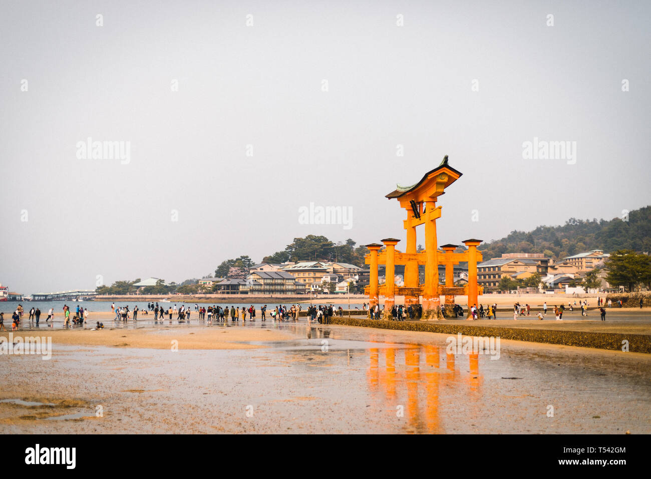 The floating Itsukushima Shrine at Miyajima Island, Japan Stock Photo ...