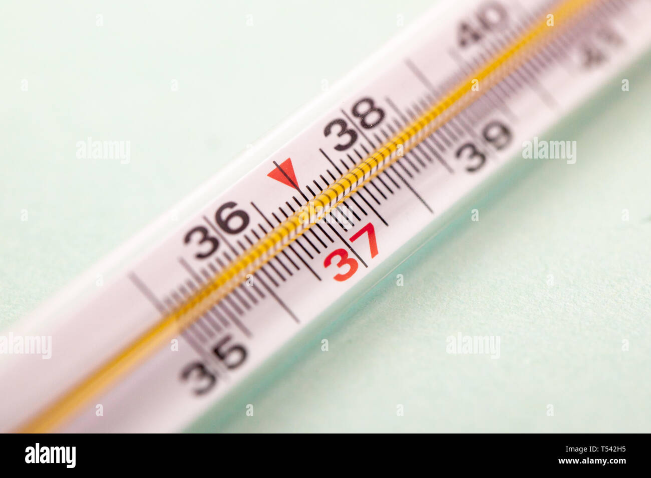 mercury thermometer isolated on white background, focus on 37 degree ...