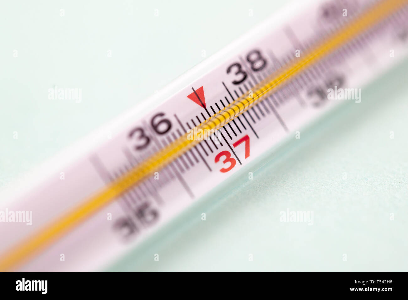 mercury thermometer isolated on white background, focus on 37 degree ...